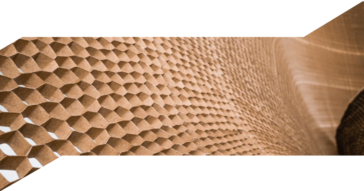 Terms and Conditions - Provem